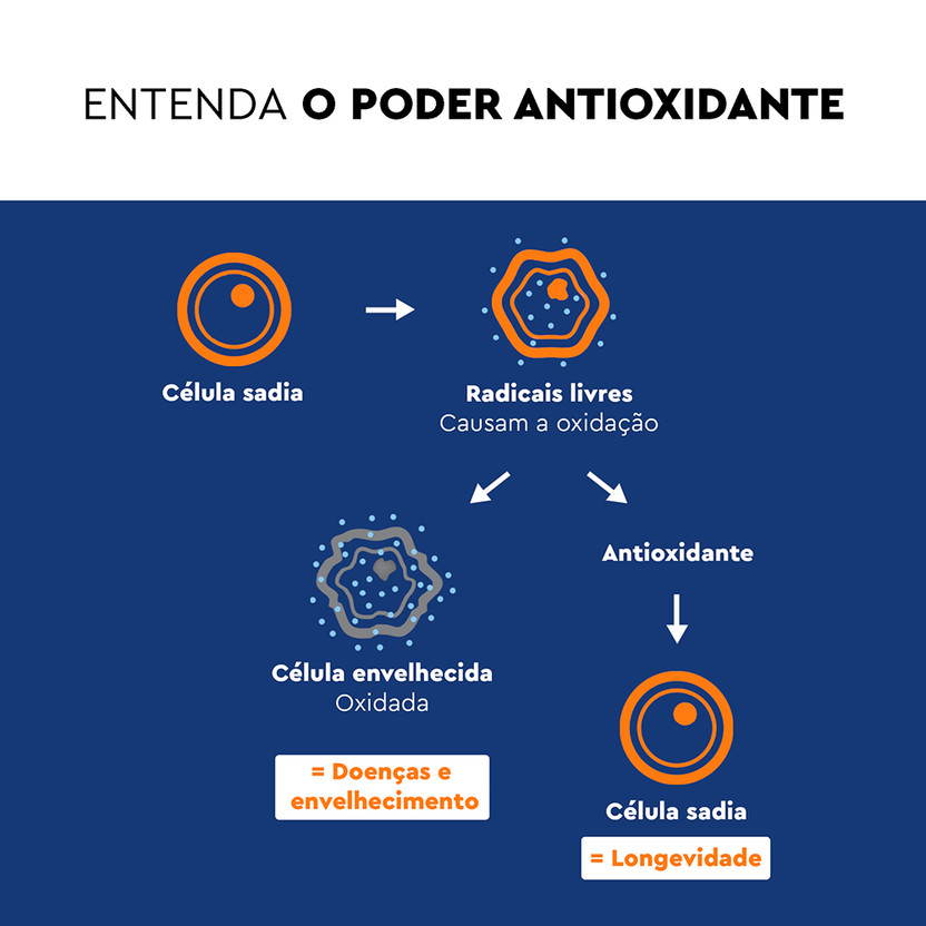 Lavitan Bio Complex com 30 Comprimidos – Lavitan Vitaminas